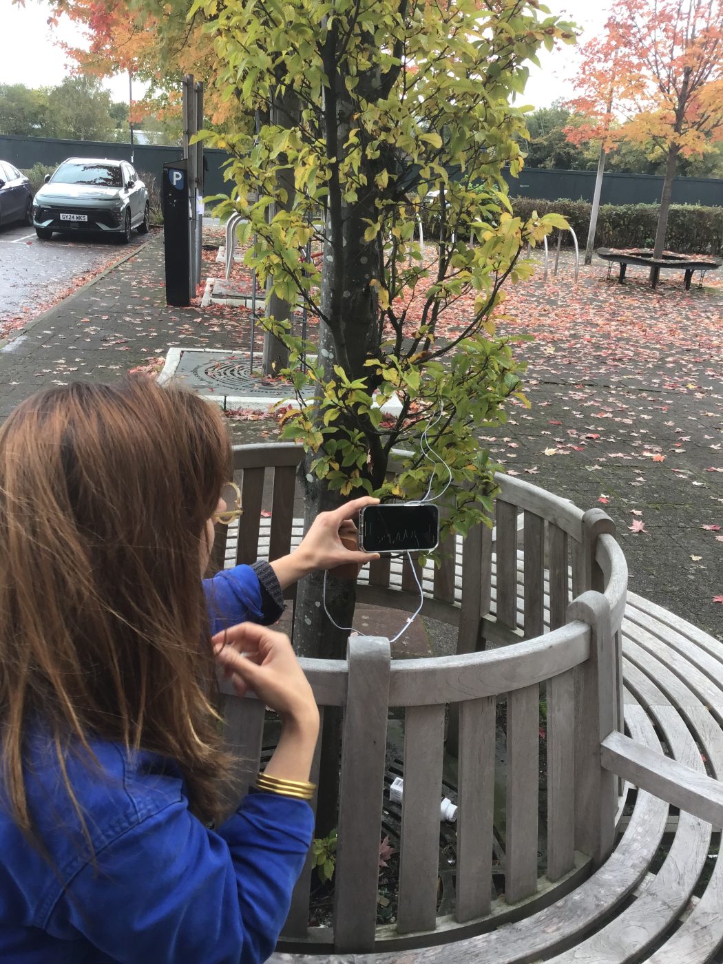 Skills Exchange Programme